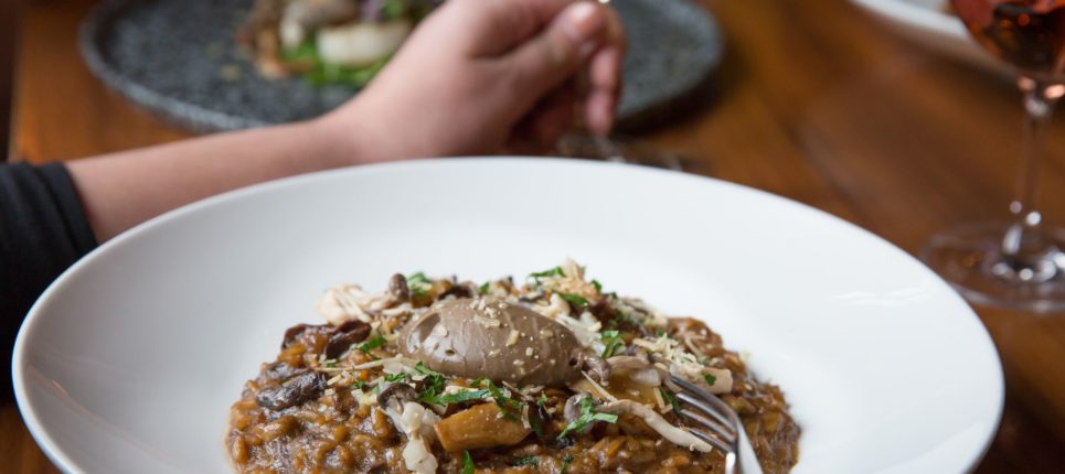 Winter Menu 2018 - Book a table now online at The Auburn